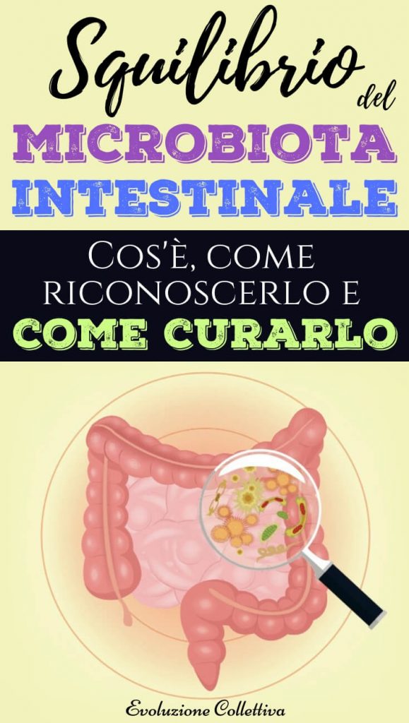 Squilibrio del microbiota intestinale: cos'è, come riconoscerlo e ... Squilibrio del microbiota intestinale: cos'è, come riconoscerlo e ...
